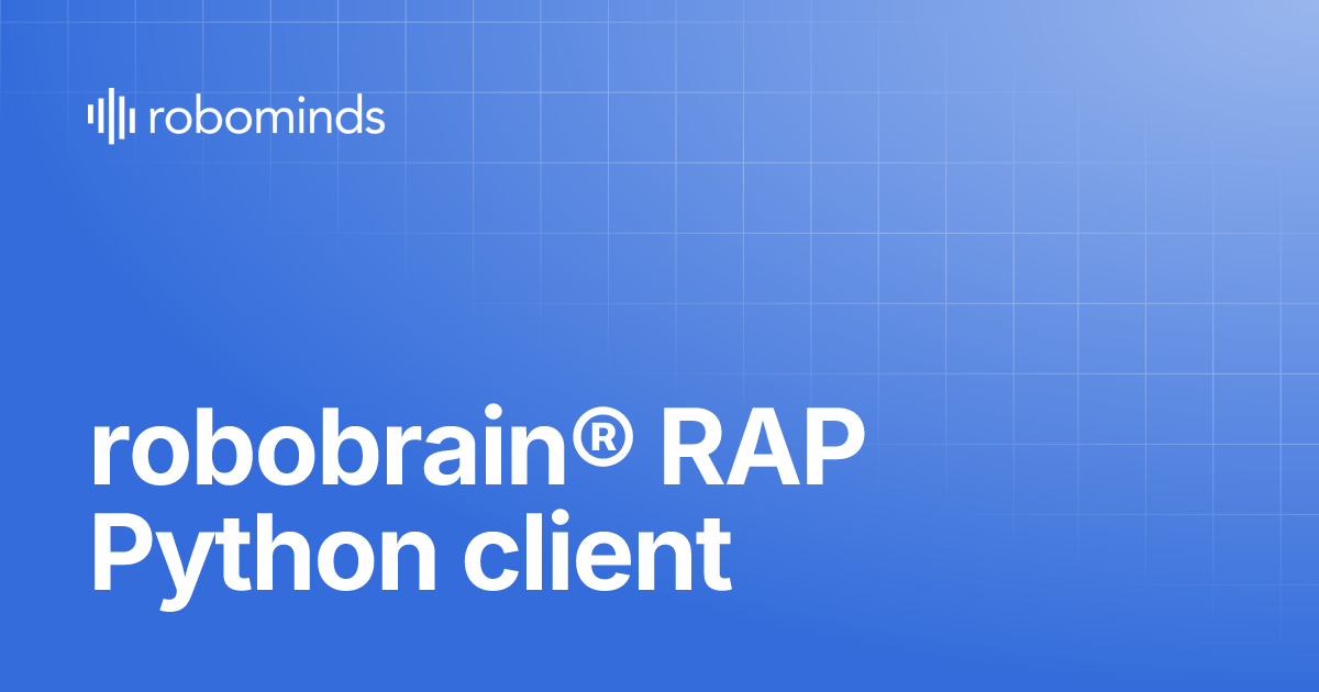 robobrain® RAP Python client | robobrain® manual